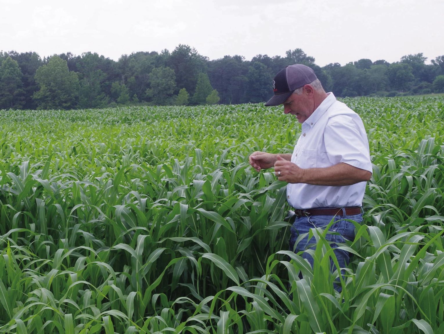 2023 Calhoun County Farm Family Joey Blann - JB Cattle